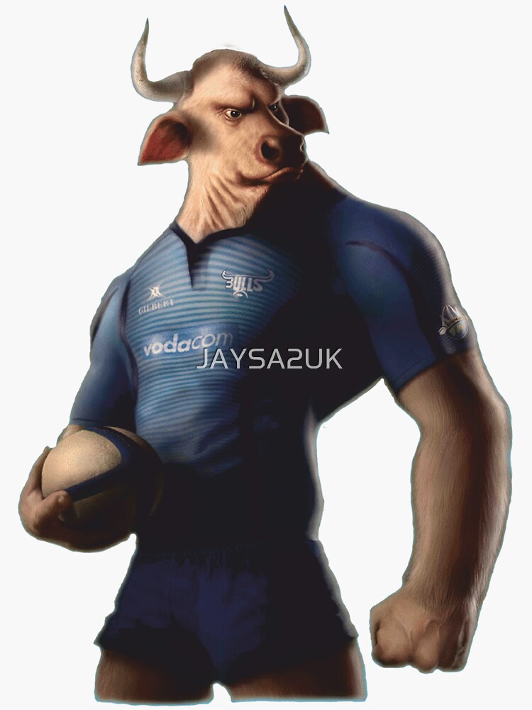 "SOUTH AFRICA SEXY SUPER THE BULL RUGBY BLUE BULLS SUPORTER T SHIRT ...