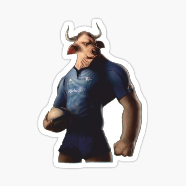 "SOUTH AFRICA SEXY SUPER THE BULL RUGBY BLUE BULLS SUPORTER T SHIRT ...