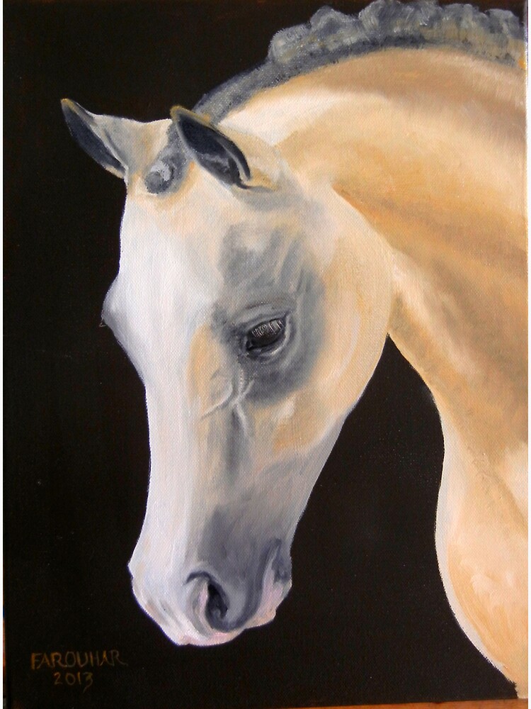 ""Ollie" Glenyarra Park Chandon" Sticker by stubbspainting | Redbubble