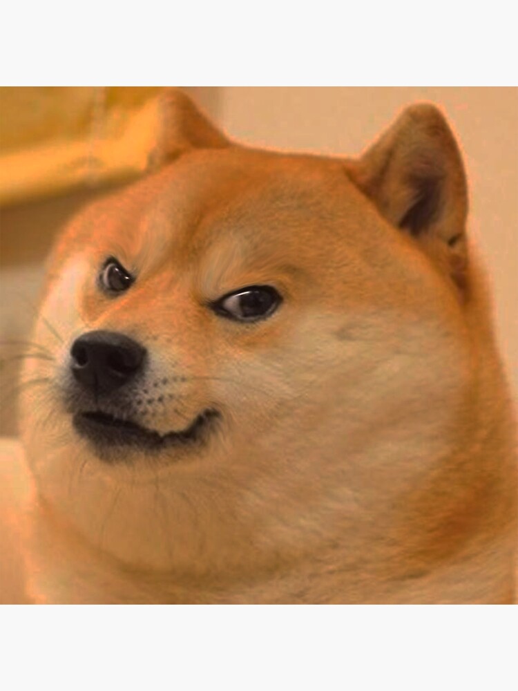 "Angry Doge" Sticker by Vasp02 | Redbubble