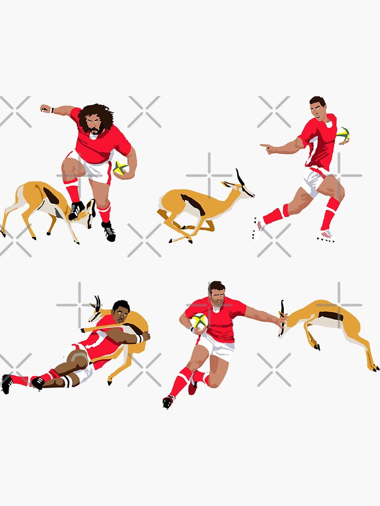 "Wales vs The Springboks " Sticker by MrTWilson | Redbubble