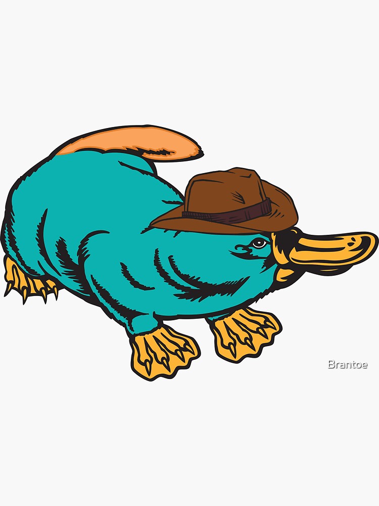 "Real Life Perry the Platypus" Sticker for Sale by Brantoe | Redbubble