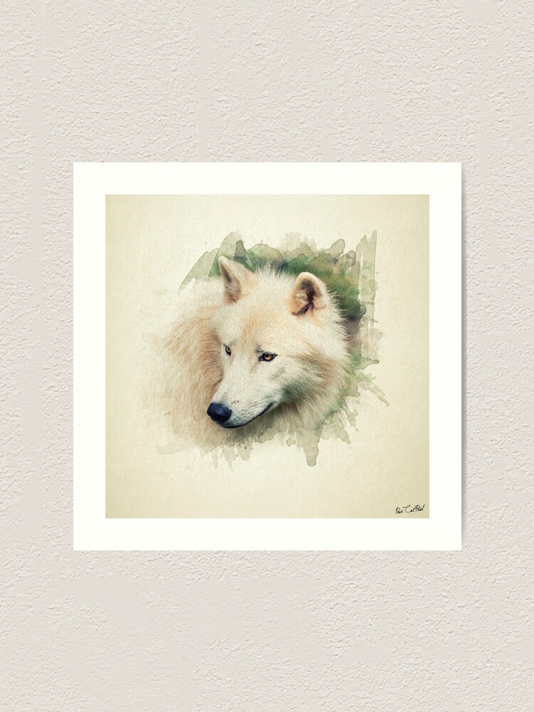 "Arctic Wolf Chart" Art Print for Sale by Pearcatprod | Redbubble