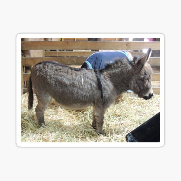 "Dynamo Donkey" Sticker by ScenerybyDesign | Redbubble