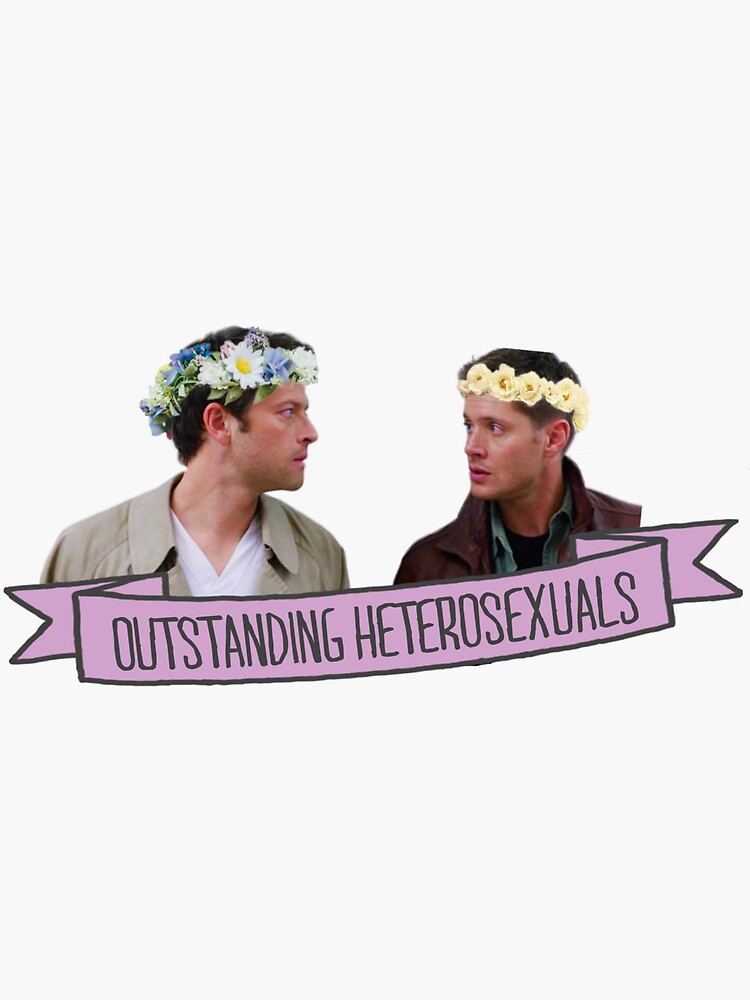 "Outstanding Heterosexuals" Sticker for Sale by littlelionbabe | Redbubble