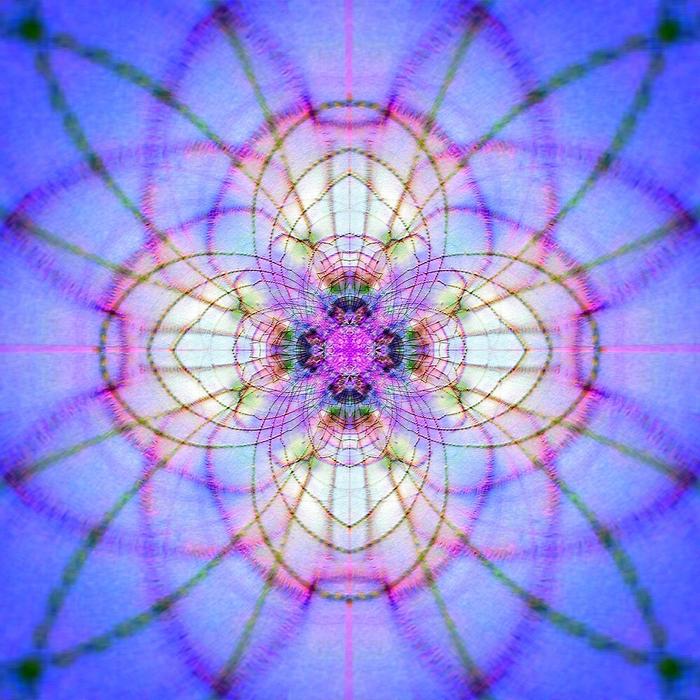 "LSD (Liquid Spider Dimension)" by Hugh Fathers | Redbubble