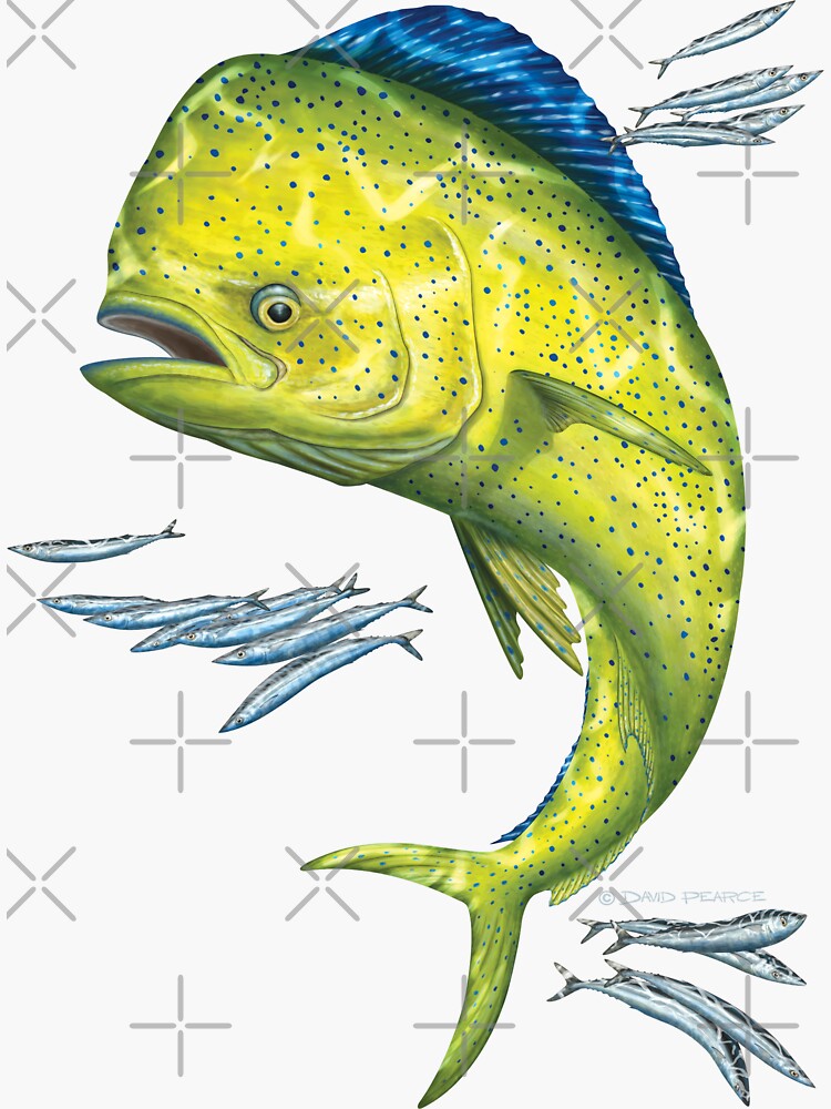 "Mahi Mahi" Sticker for Sale by barradingo | Redbubble