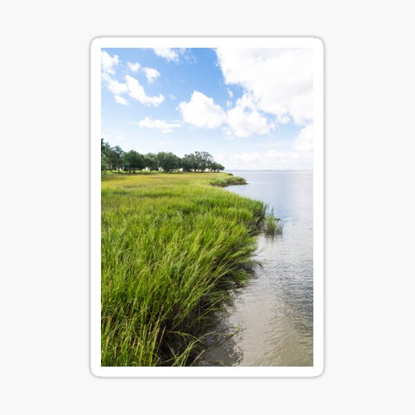 "Wetland Grasses" Sticker for Sale by dbvirago | Redbubble