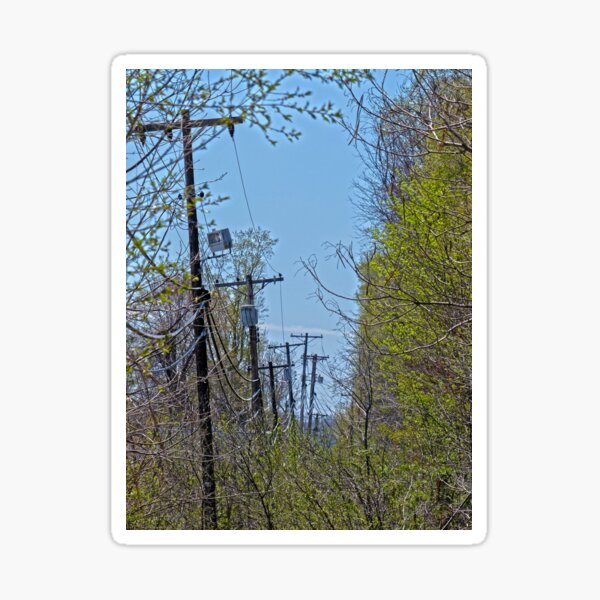 "Telephone Poles" Sticker for Sale by FrankieCat | Redbubble