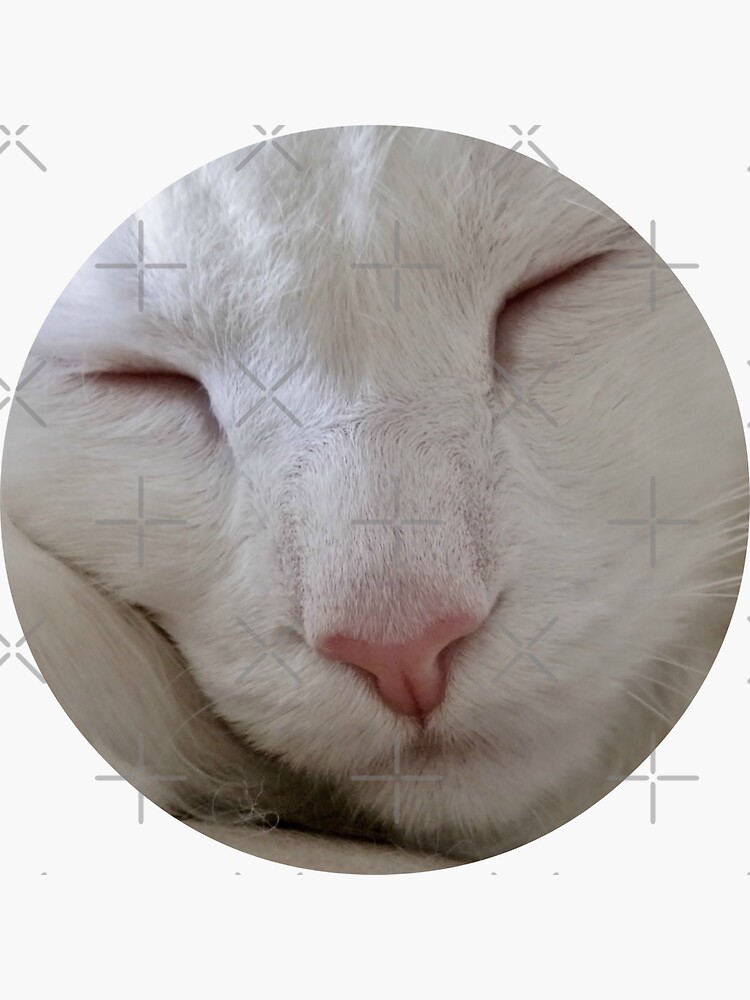 "Angel Face" Sticker for Sale by Happyhead64 | Redbubble