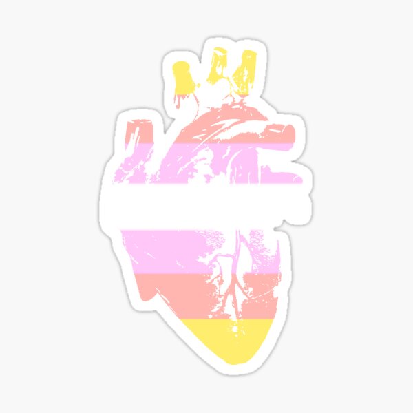 "Pangender Pride Heart" Sticker for Sale by Coolcat101s | Redbubble