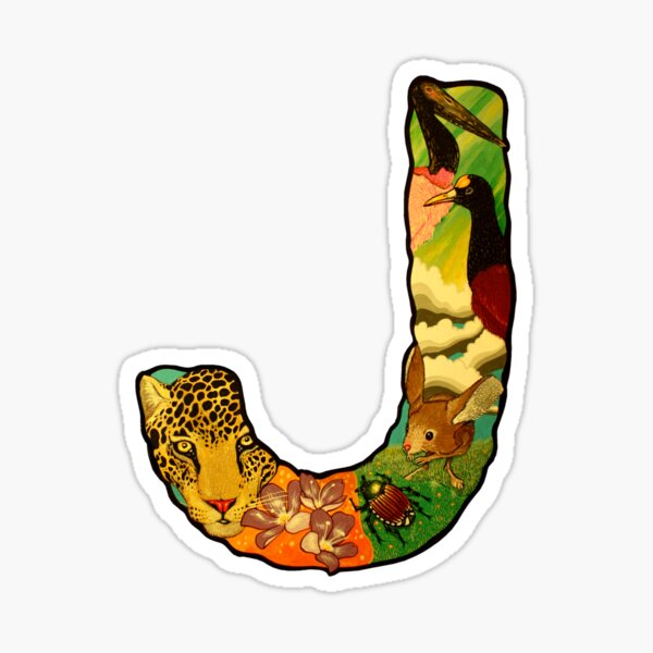 "The Letter J" Sticker for Sale by alphabetbyjason | Redbubble