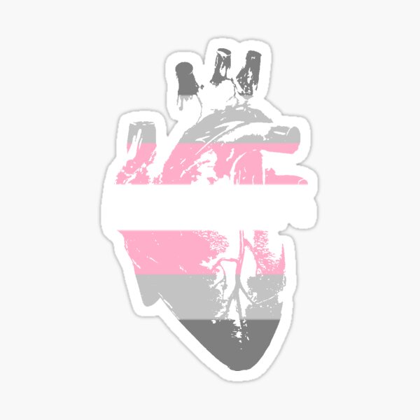 "Demigirl Pride Flag" Sticker by Coolcat101s | Redbubble