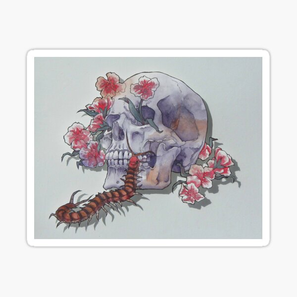 "Centipede skull" Sticker by sweetycreamy | Redbubble