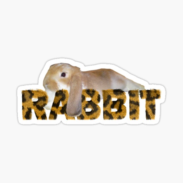 "Fluffy Rabbit" Sticker for Sale by rabbitbunnies | Redbubble