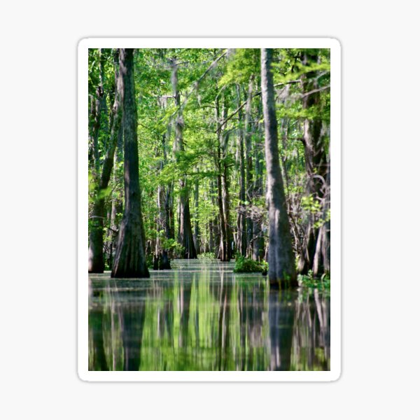 Atchafalaya Merch & Gifts for Sale | Redbubble