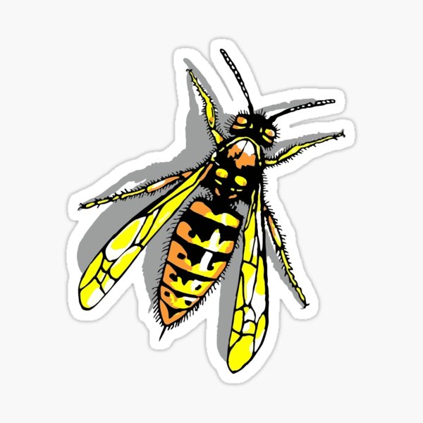 "Wasp" Sticker for Sale by theshirtshops | Redbubble