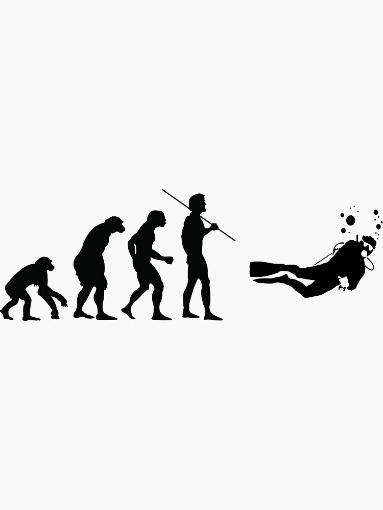"Evolution to Scuba Diver" Sticker for Sale by BelfastBoy | Redbubble