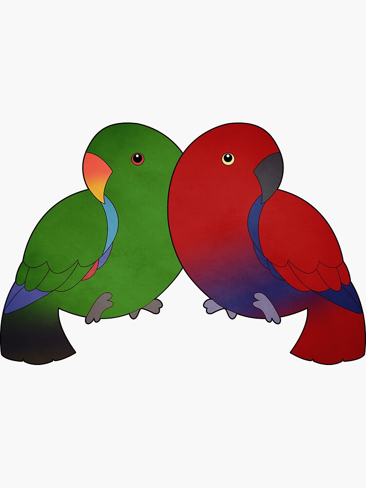 "Eclectus Parrots" Sticker for Sale by Psitta | Redbubble