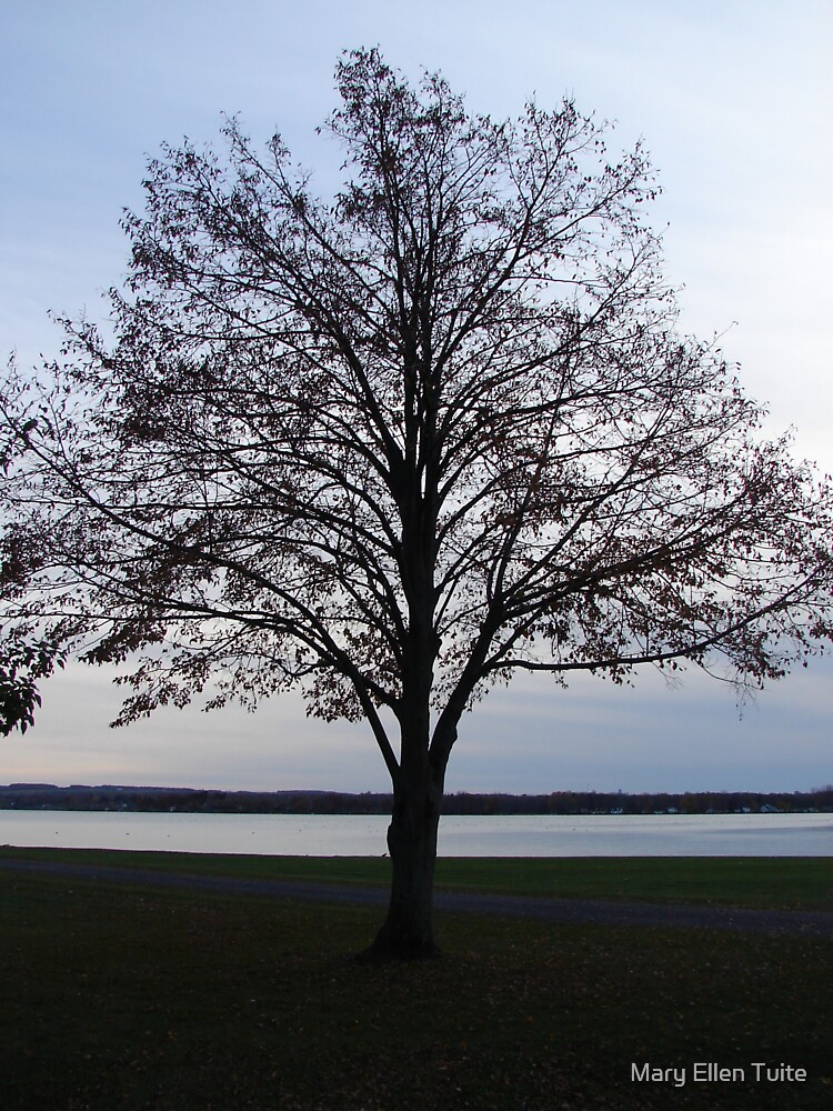 "Tree Silhouette" Sticker for Sale by MaryTuite | Redbubble