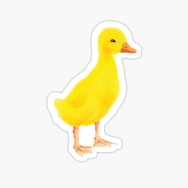 Easter Chick Stickers | Redbubble