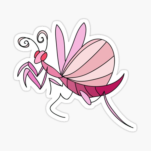 Praying Mantis Stickers | Redbubble