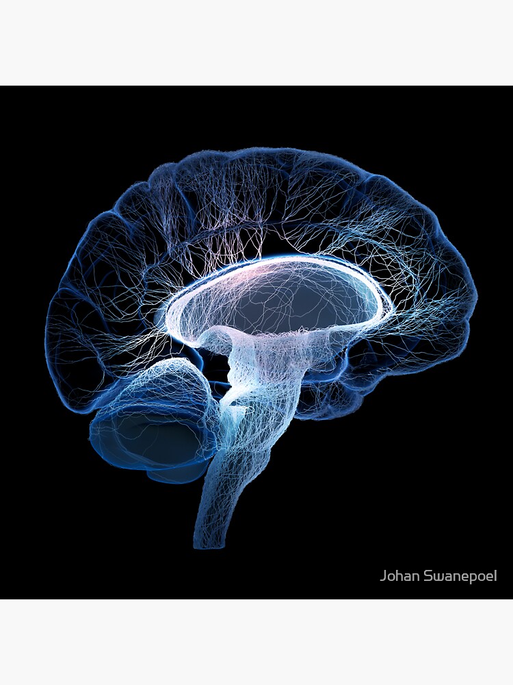 "Human brain complexity - Conceptual" Sticker for Sale by ...