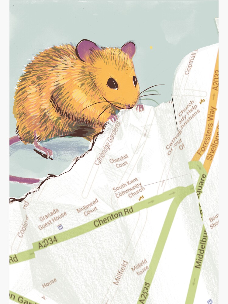 "Mouse Map" Sticker by Hubbardlouise | Redbubble