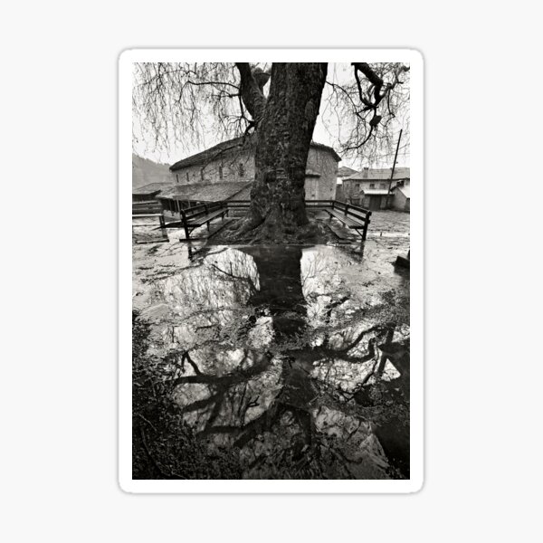 "Back to my roots" Sticker by Cretense72 | Redbubble