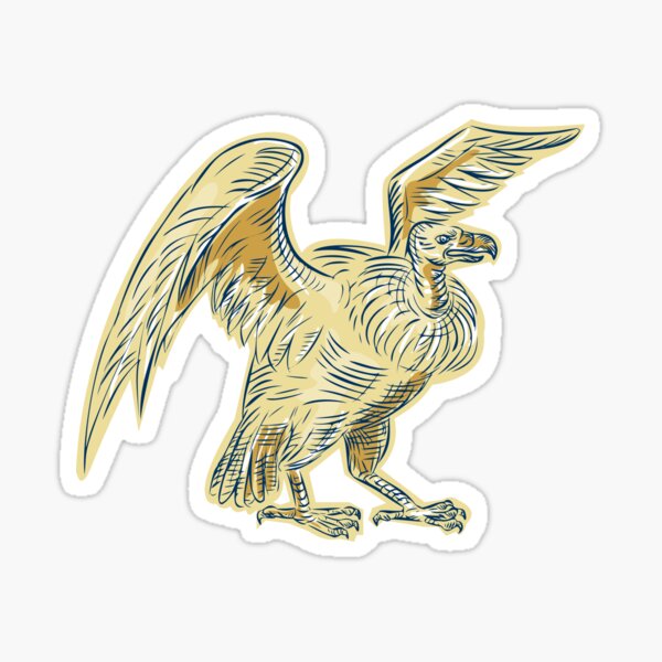 "Vulture Buzzard Etching" Sticker by patrimonio | Redbubble