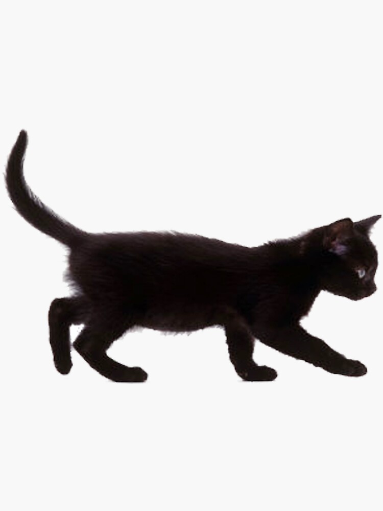 "Cat running" Sticker for Sale by pepeking | Redbubble