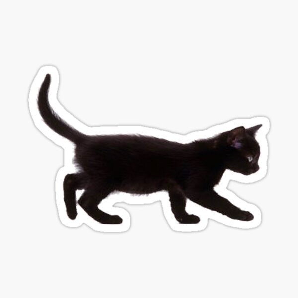"Cat running" Sticker for Sale by pepeking | Redbubble