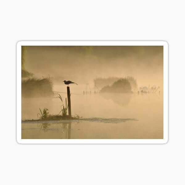 "Early Bird" Sticker by kasianowak | Redbubble