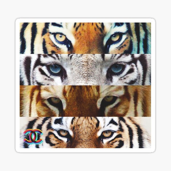 "Creative x Culture Tiger Eyes" Sticker for Sale by VickyVickDesign ...
