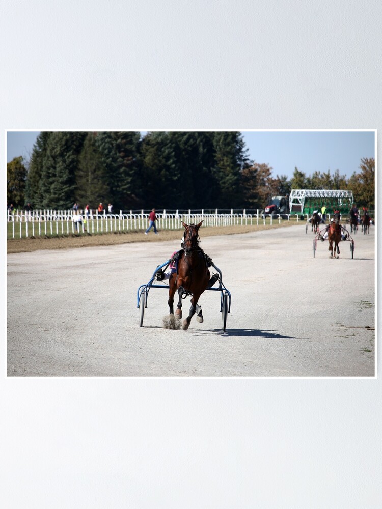 "Harness racing at the Hippodrome horses trotting" Poster for Sale by ...