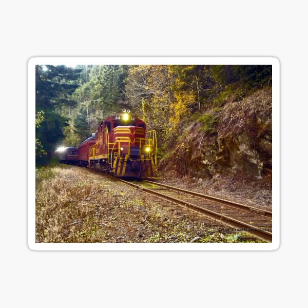 "The "Skunk" train" Sticker for Sale by Celsiusrising | Redbubble