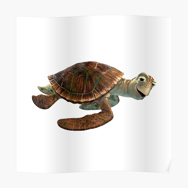 "NEMO CHILL TURTLE" Poster by Drageonz | Redbubble