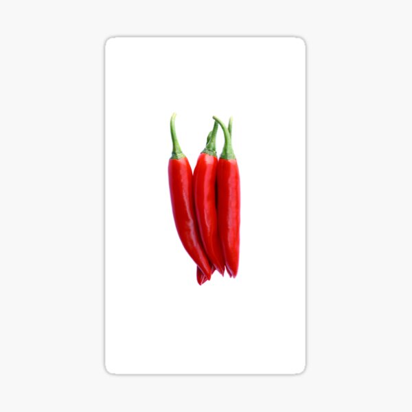"Chili Pepper" Sticker for Sale by dkaranouh | Redbubble