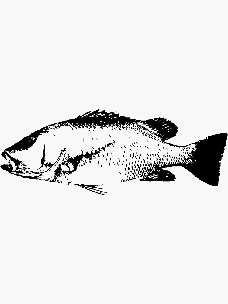 "Mangrove Jack" Sticker for Sale by garts | Redbubble