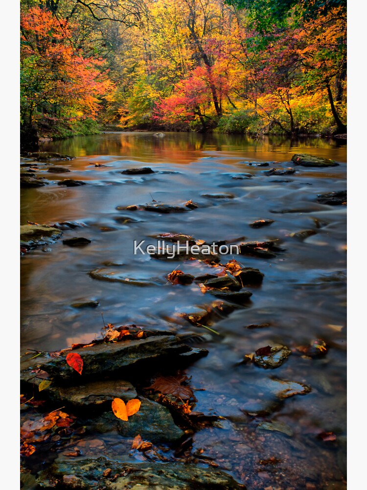 "Autumn Octoraro Creek" Sticker for Sale by KellyHeaton | Redbubble
