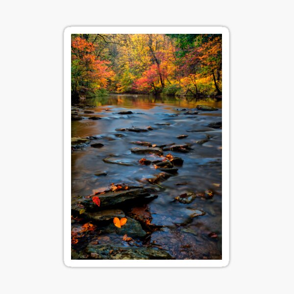 "Autumn Octoraro Creek" Sticker for Sale by KellyHeaton | Redbubble