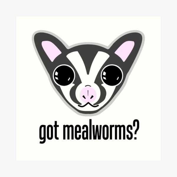 "Funny Sugar Glider Meme" Art Print for Sale by RiffXS | Redbubble