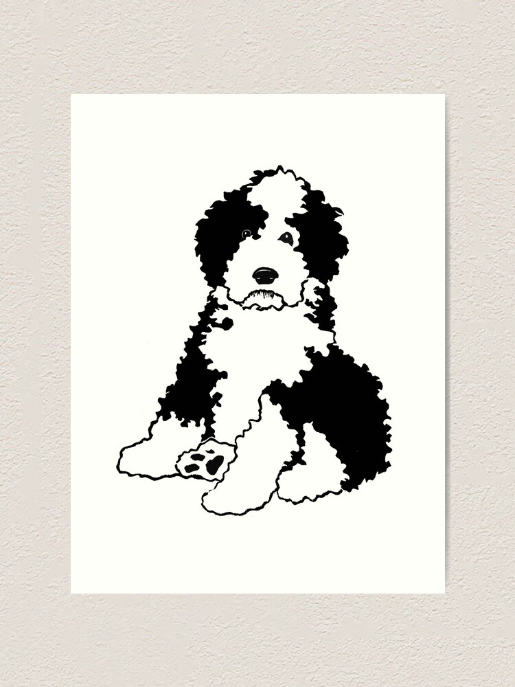 "Sheepadoodle Dog Breed" Art Print for Sale by Heidi Wirtner | Redbubble