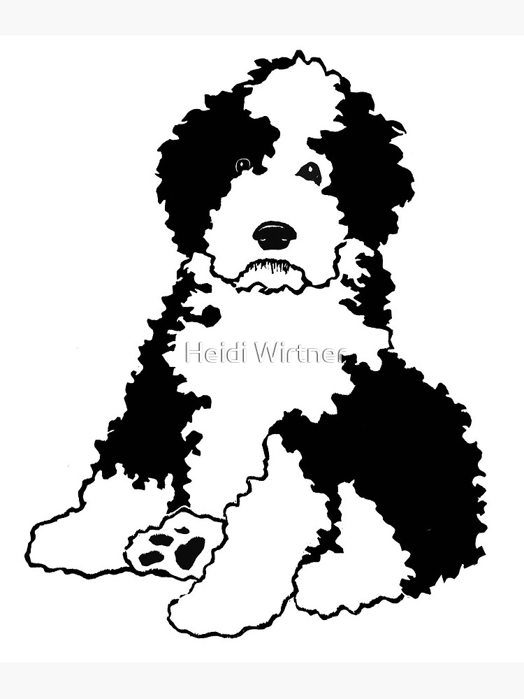 "Sheepadoodle Dog Breed" Art Print for Sale by Heidi Wirtner | Redbubble