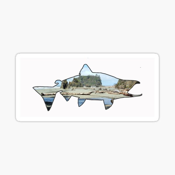 "Olympic - Coho Salmon" Sticker for Sale by gloryparks | Redbubble