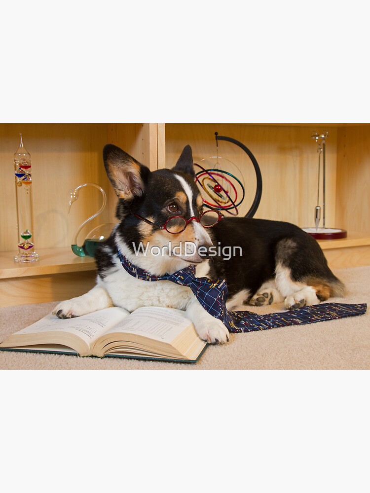 "Science Dog" Sticker for Sale by WorldDesign | Redbubble