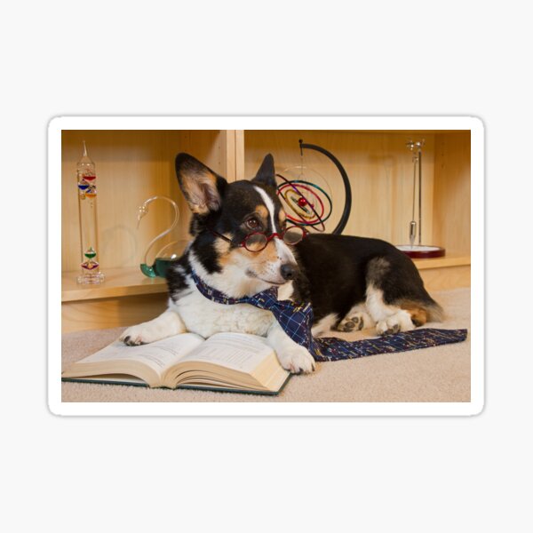 "Science Dog" Sticker for Sale by WorldDesign | Redbubble