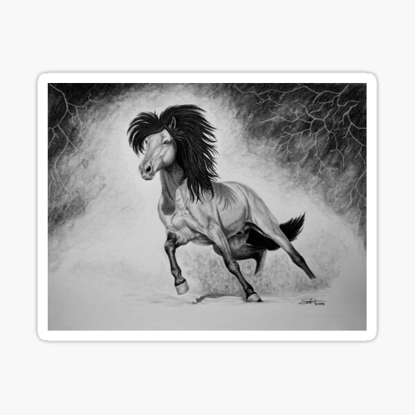 ""A Free & Untamed Spirit" - Charcoal portrait" Sticker for Sale by ...