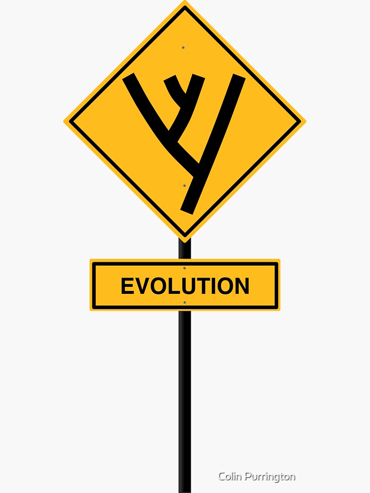 "Evolution road sign" Sticker for Sale by colinpurrington | Redbubble