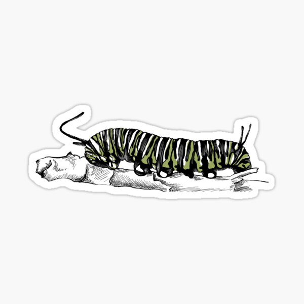 "Caterpillar" Sticker by hausbound | Redbubble